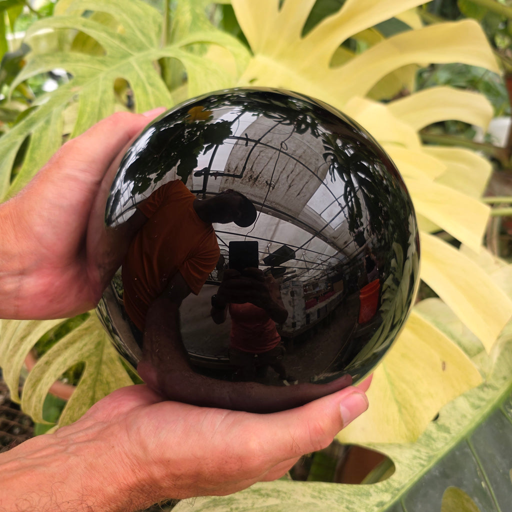 Obsidian Sphere (22.2 lbs _ S-422) – Steve's Leaves