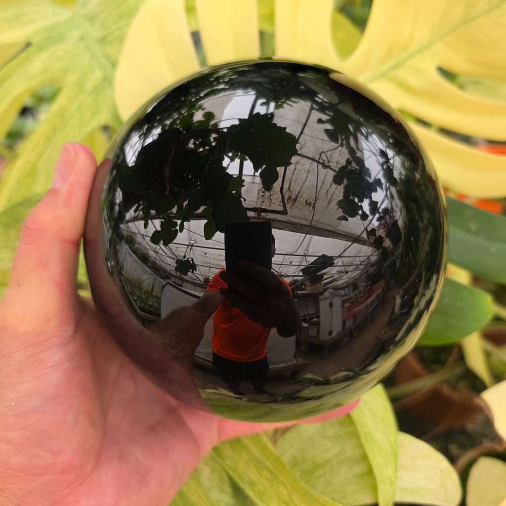 Obsidian Sphere (8.8 lbs _ S-488) – Steve's Leaves