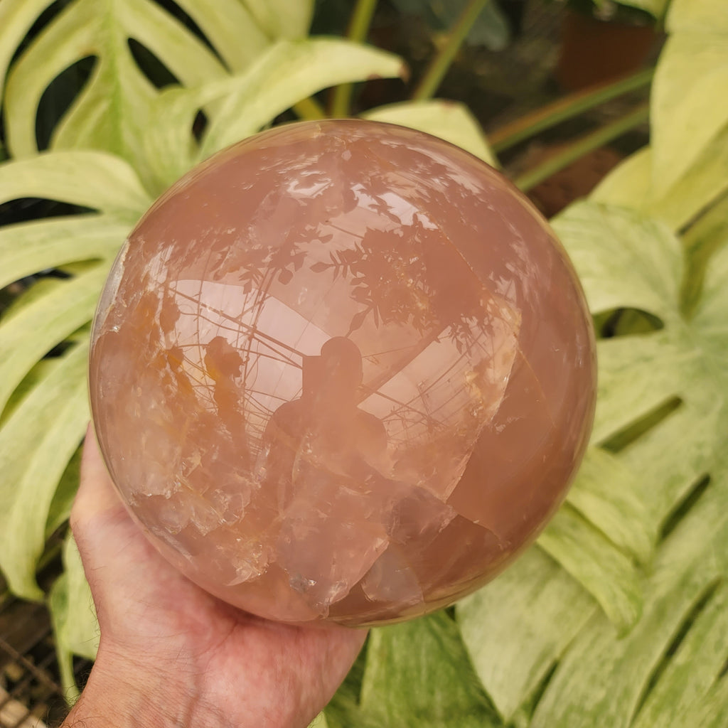 Rose Quartz Sphere (14.1 lbs _ S-88) – Steve's Leaves