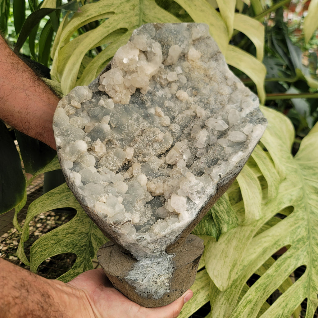 White Calcite Cluster - XL Pedestal (19.0 lbs _ S-300) – Steve's Leaves