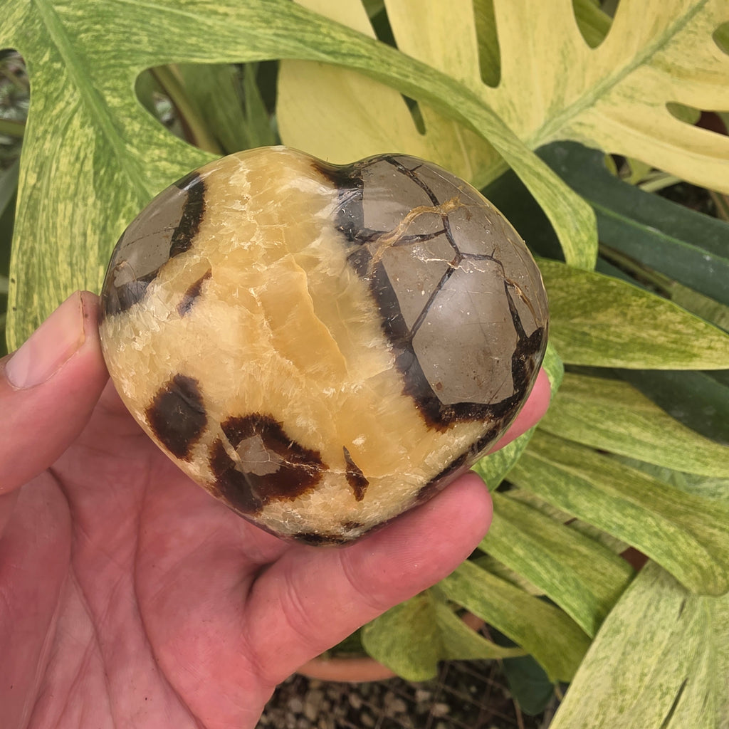 Septarian Heart (10.68 oz _ SL-561) – Steve's Leaves