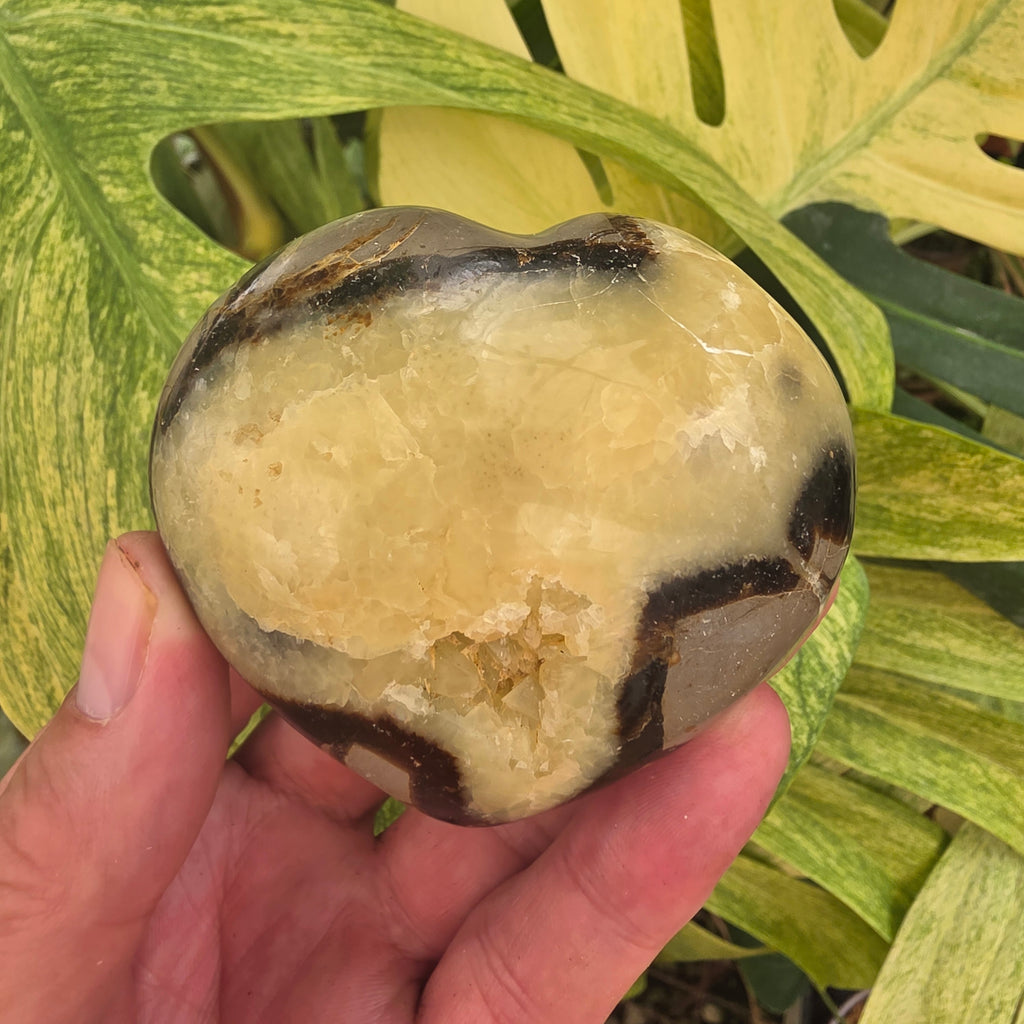 Septarian Heart (10.66 oz _ SL-562) – Steve's Leaves