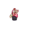 Begonia Raspberry Torte | Hybrid Begonia Houseplant | Steve's Leaves